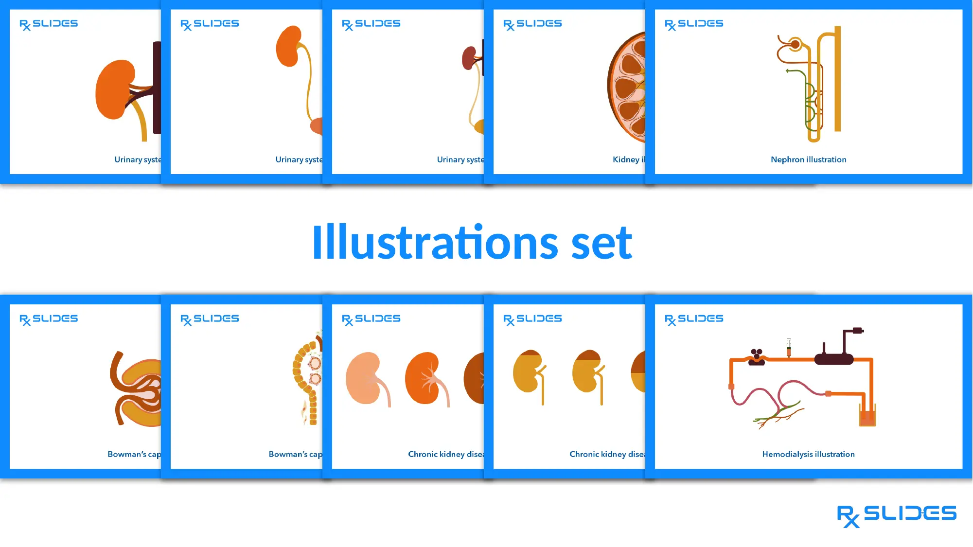 Download Glomerulonephritis PowerPoint Template| RxSlides